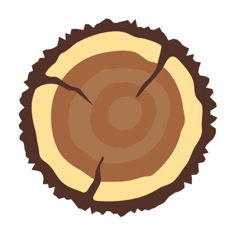 Trunk Generic Color Fill Icon