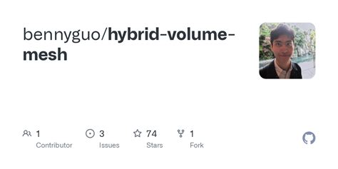 Github Bennyguohybrid Volume Mesh