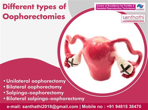 What Are The Santhathi Fertility And Maternity Center