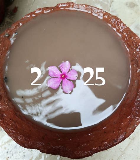 noor ul nisa on linkedin yearinreview worklifebalance growth techskills