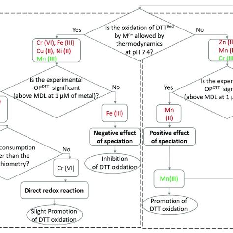 Flowchart Of The Suggested Reactivity Of Transition Metals With Dtt In Download Scientific