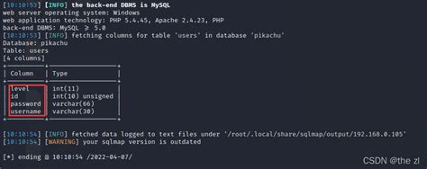 Web安全工具—sqlmap常用命令和参数（持续更新）sqlmap常用指令和参数 Csdn博客