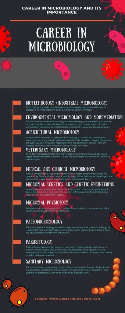 Budding Definition Process Advantages Disadvantages Biology
