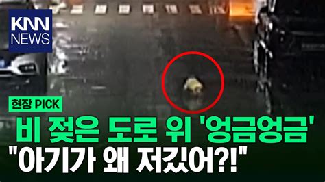 충격 어두운 밤 도로 위 무슨 일 Knn Youtube