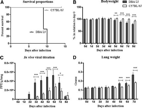 Survival Rates A Of Dba 2j And C57bl 6j Mice After Intranasal Download Scientific Diagram