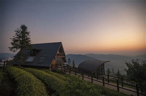 普洱倚象山半山酒店 坐落于漫山茶田，缥缈山景之中，与自然景观融为一体的主题酒店