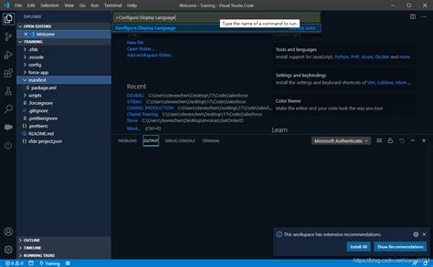 【vscode】vscode设置中文显示（20207更新）怎么设置vscode显示中温 Csdn博客