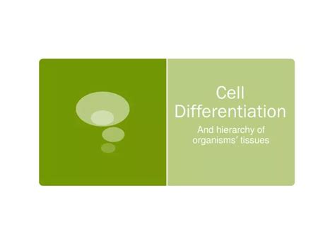 PPT Cell Differentiation PowerPoint Presentation Free Download ID
