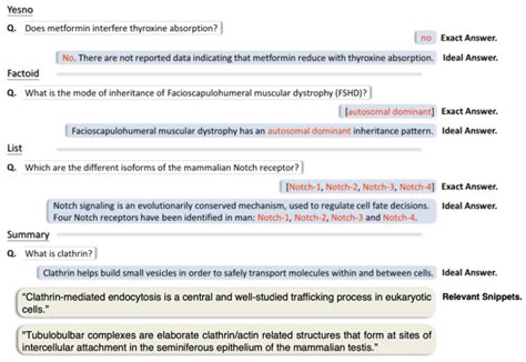 The Qa Examples Of The Bioasq Task 9b Phase B Qa Task Download Scientific Diagram
