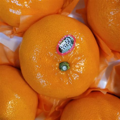 Chunhyehyang Mandf Market Guam