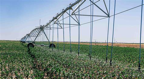 Maximizing Irrigation Efficiency