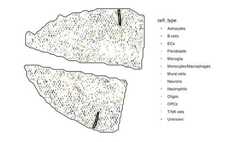 Using Spatial Annotations • Spata2