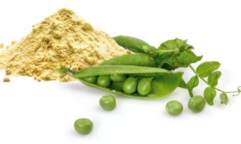 Pea Starch Market Seeking Excellent Growth Roquette Frères Emsland