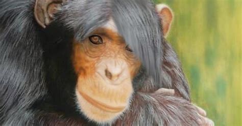 Simio Album On Imgur