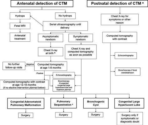 Proposed Algorithm By Annunziata Et Al For Follow Up Of Congenital Download Scientific Diagram