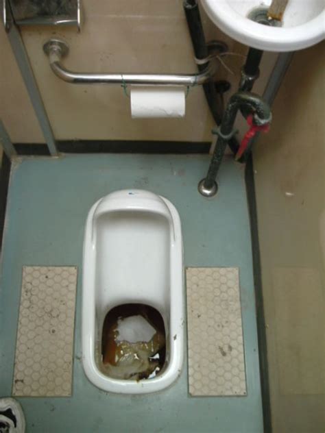 河川敷トイレ写真 荒川河川敷北岸 千住新橋西新井橋 東京都足立区千住新橋西新井橋中間