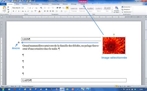 Module 3 Bureautique Word Writer Bases Présentation Des éléments De La Fenêtre Word