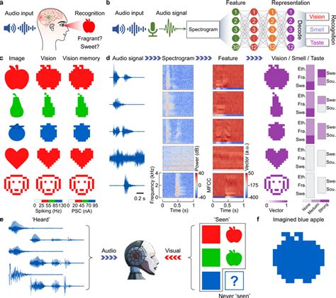 auditory visual smell taste crossmodal recognition and imagination a download scientific