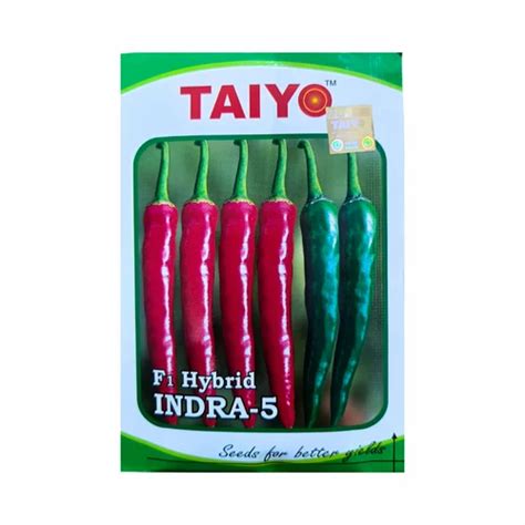 Indra 5 Chilli Seeds At Rs 499 00 Seethaiah Donka Vidyanagar 1st Line Extension Guntur Id