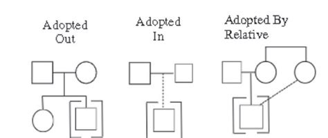 Genetics Pedigree Nomenclature On Sex And Gender Inclusivity Flashcards Quizlet