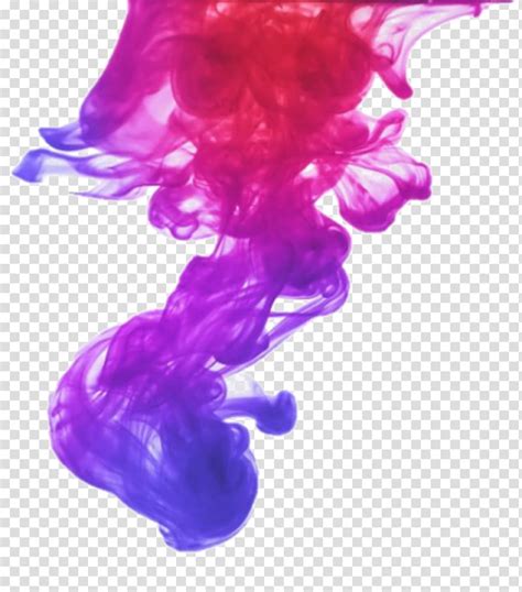 Rectum Clipart Rectum Clipart