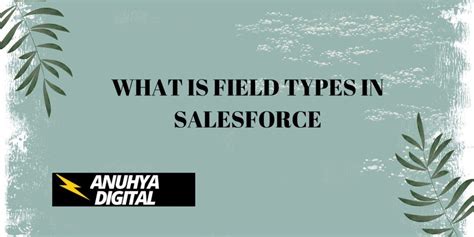 Anuhya Digital On Linkedin What Is Field Types In Salesforce