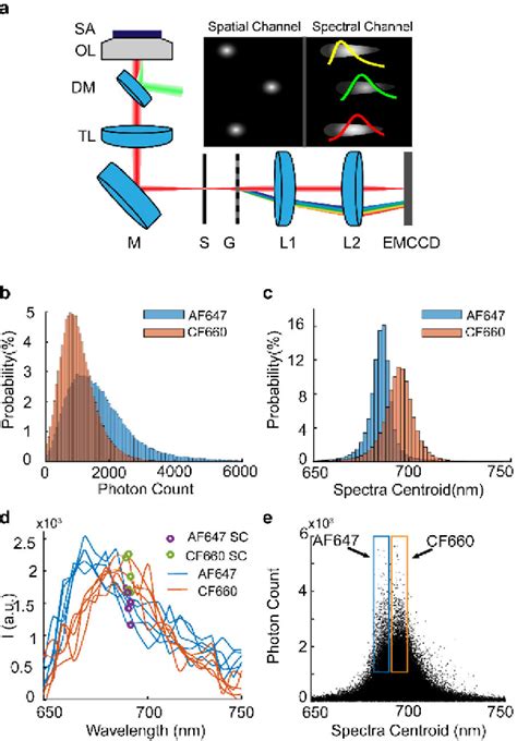 Figure 1 From Machine Learning Based Spectral Classification For Spectroscopic Single Molecule