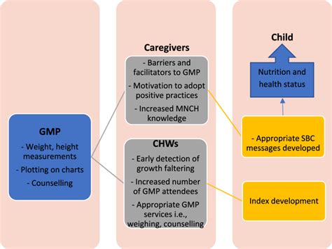 Conceptual Framework For Improved Growth Monitoring And Promotion