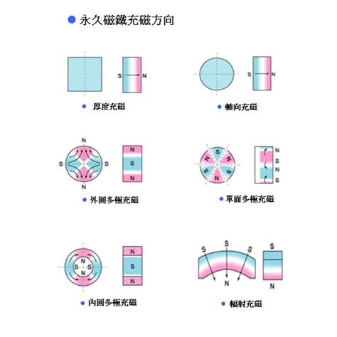特殊徑向充磁 直徑 1 5 mm 釹鐵硼磁鐵圓形 蝦皮購物