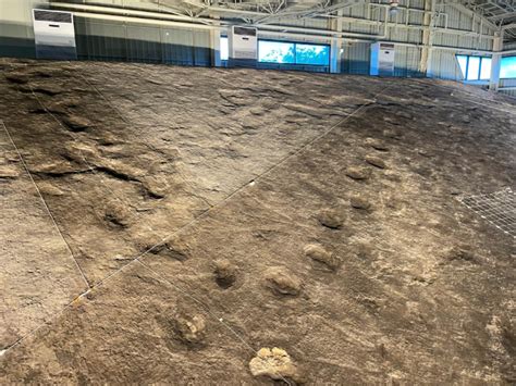 군산 산북동 공룡과 익룡발자국 화석산지 이달 말 일반에 공개 노컷뉴스