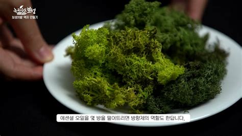 보성차밭 액자 만들기 보성애물들다 생태체험 관광지