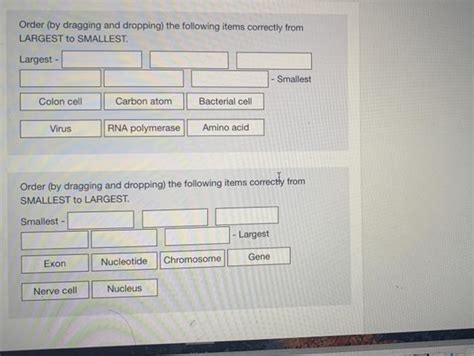 Solved Order By Dragging And Dropping The Following Items