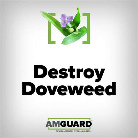April Is National Lawn Care Month Destroy Doveweed And 70 Weeds In