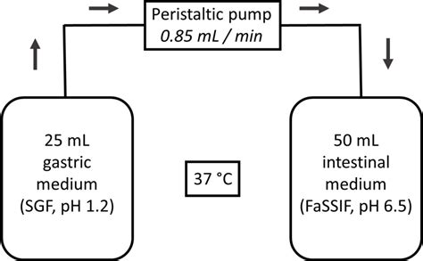 Figure 1 From Incorporation Of Hpmcas During Loading Of Glibenclamide