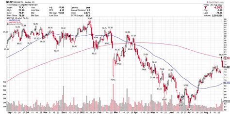 Can Netapp Resume Its Rally After Strong Earnings Guidance