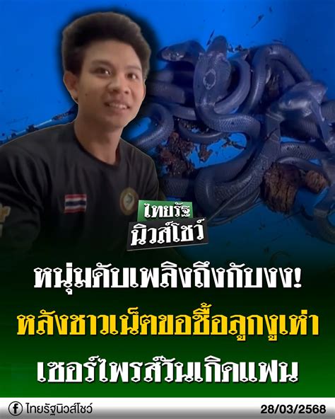 ไทยรัฐนิวส์โชว์ อึ้ง หนุ่มดับเพลิงเก็บไข่งูเห่ามาฟัก ได้ลูกงูเห่า 13 ตัว มีคนขอซื้อจะเอาเป็น