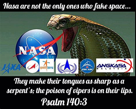 Tête De Serpent Nasa Perseverance A Repéré Une Tête De Serpent Et Une