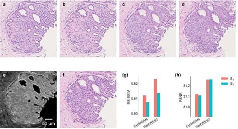 Performance Tests On Datasets With Different Degrees Of Data Download Scientific Diagram
