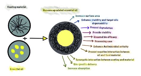 Benefits Of Nanoencapsulated Essential Oils Download Scientific Diagram