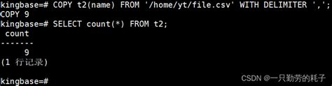 Kingbasees数据库copy导入导出kingbase导出txt文件指定分隔符 Csdn博客