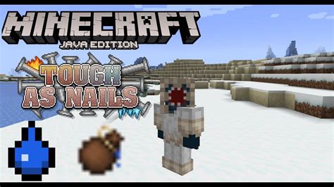 Tough As Nails Mod Minecraft 1 20 4 Youtube