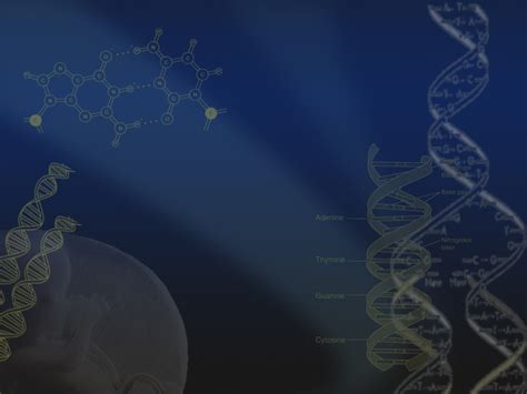 Dna Powerpoint Ppt Backgrounds Dna Powerpoint Ppt Photos Dna Images And Photos Finder