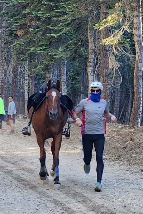 The Tevis Cup 100 Miles One Day Western States Trail Ride 100
