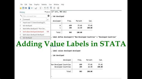 4 How To Add Value Labels To A Categorial Variable In Stata Youtube