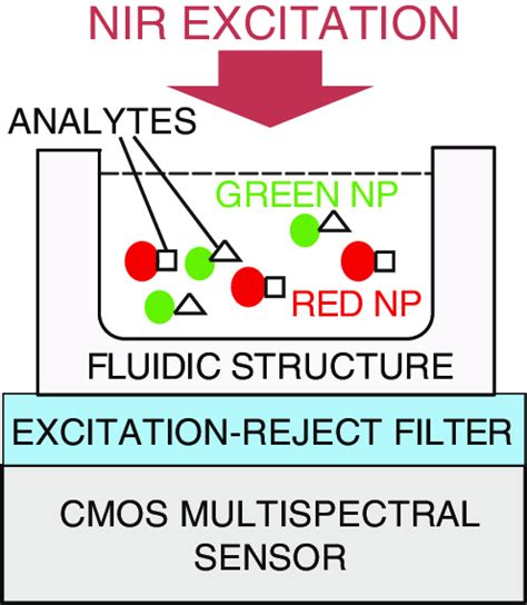 Schematic Of A Cmos Luminescence Detection Microsystem Np Nanoparticle Download