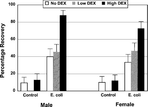 The Effect Of Sex Dexamethasone DEX Treatment And Escherichia Coli Download Scientific