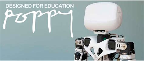 Poppy An Educational Robotics Platform