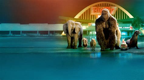 The One And Only Ivan 2020 Backdrops The Movie Database TMDB