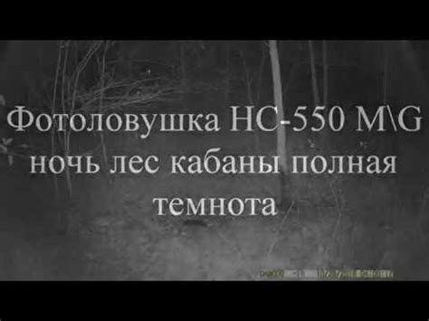 Реальная работа фотоловушки HC-550 M\G при полной темноте - YouTube