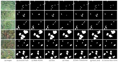extraction of pine wilt disease regions using uav rgb imagery and